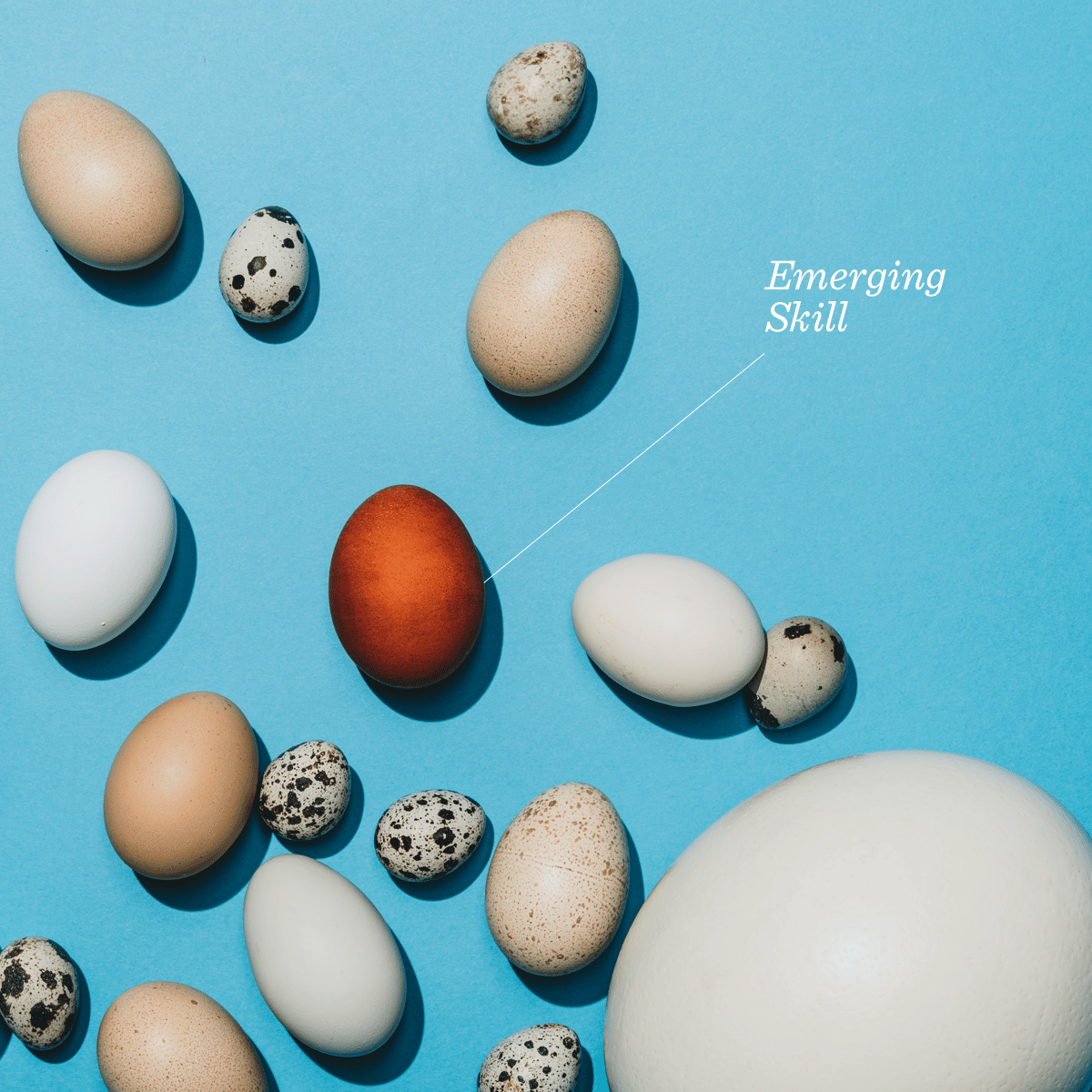 The Innovator's Guide to Emerging Skills - Degreed